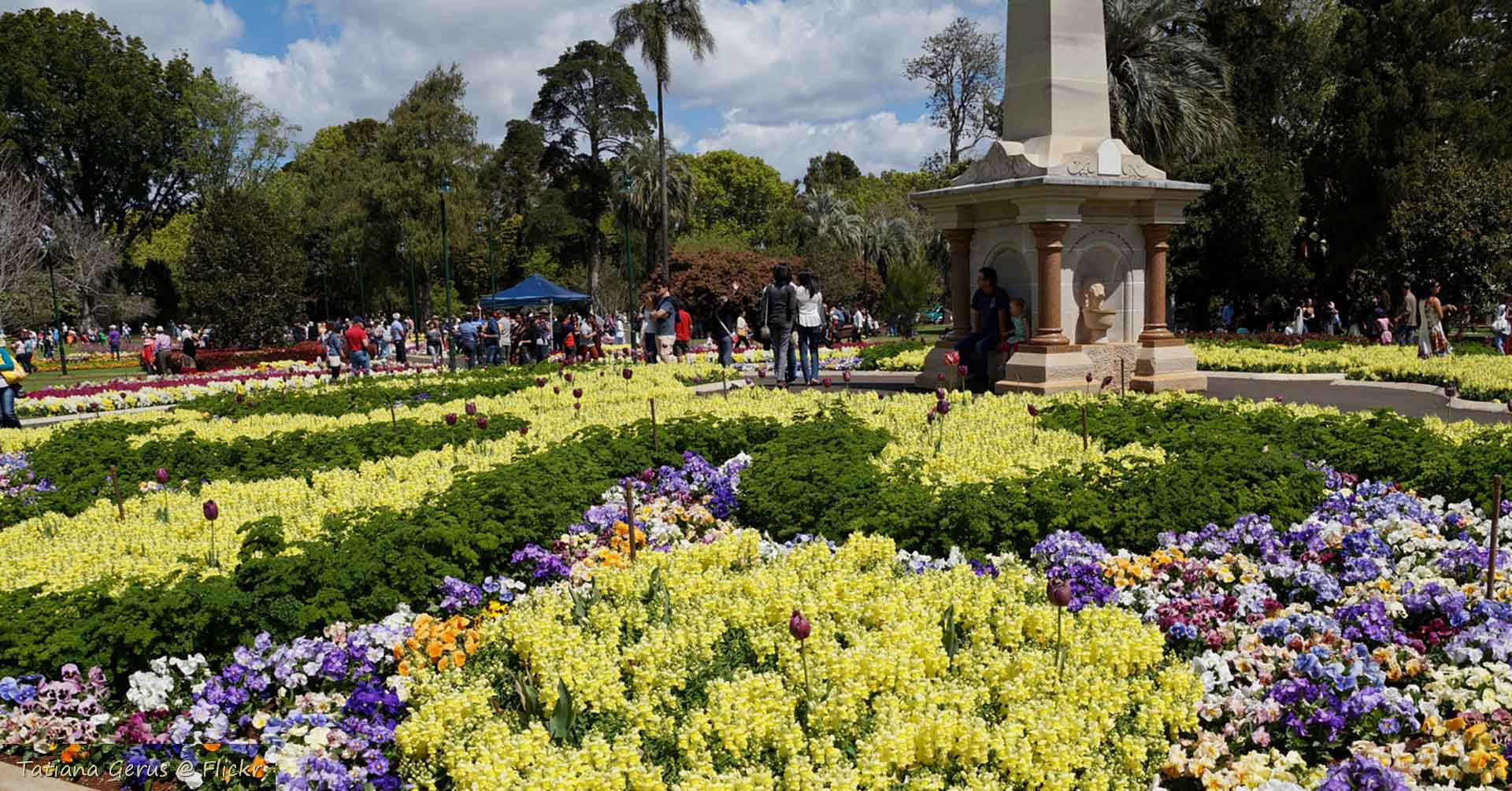 TOOWOOMBA CARNIVAL OF FLOWERS 2017 Laguna Serviced Apartments toowoomba-carnival-of-flowers-2017-laguna-serviced-apartments