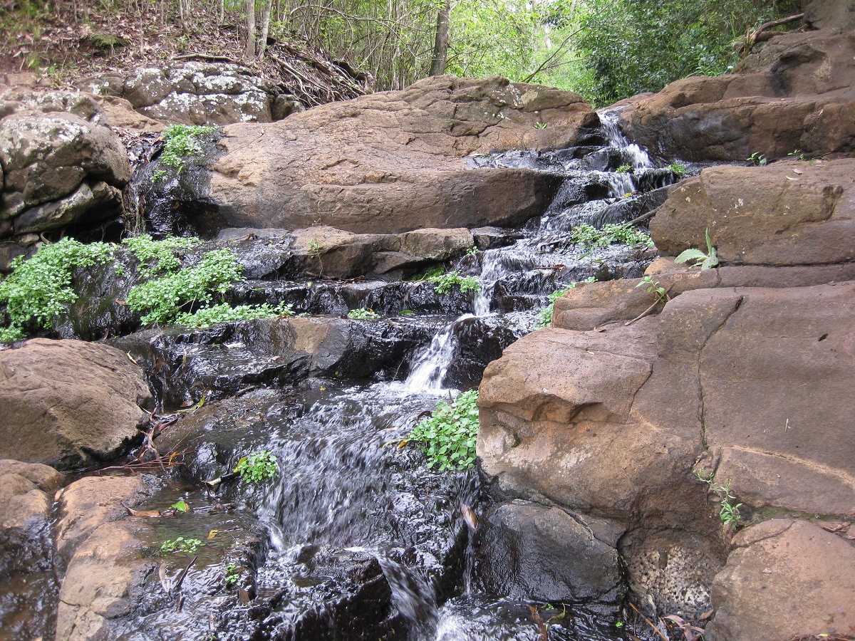 Highfields Falls - Toowoomba’s Secret Getaway to Nature! - Laguna ...